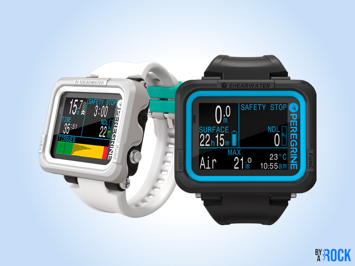 9 Best Dive Computers in 2024: Expert-Picked