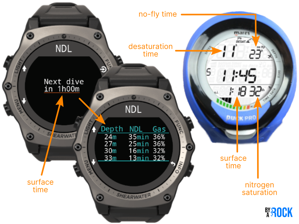 How to Use a Dive Computer Pre-Mid-Post-Dive: Step by Step