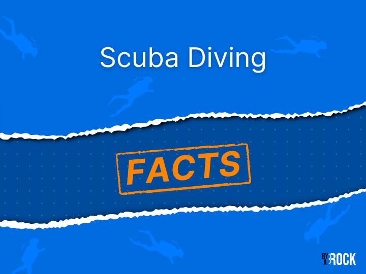 11 Crucial Scuba Diving Facts Every Diver Should Know