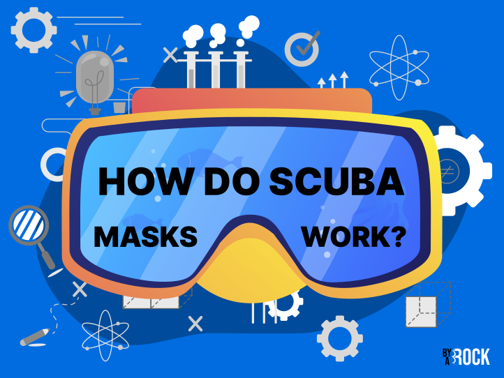 By a Rock: Underwater Life With Peace of Mind